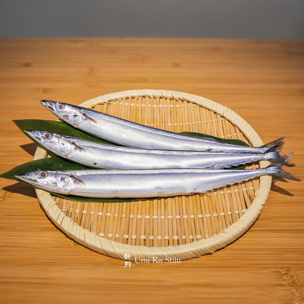 Kamasu (魳 / Barracuda) – Umi Ka Shin