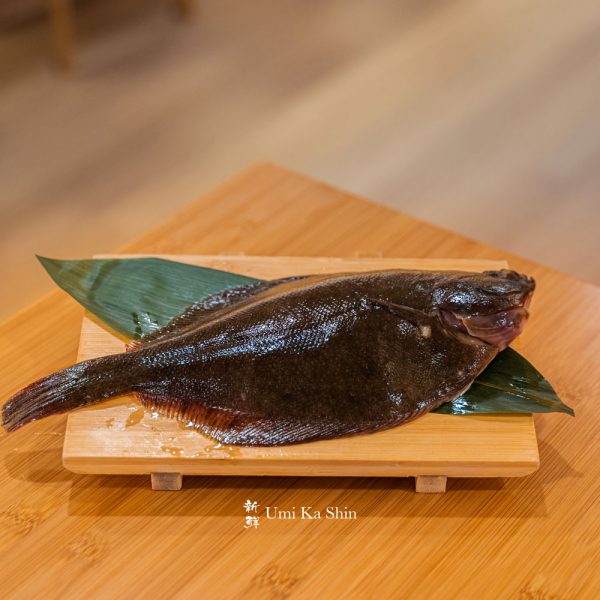 Karei – Umi Ka Shin